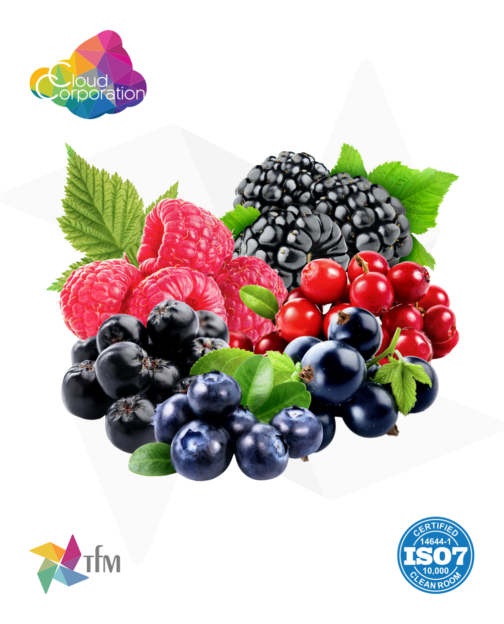(CC) - Berry Mix