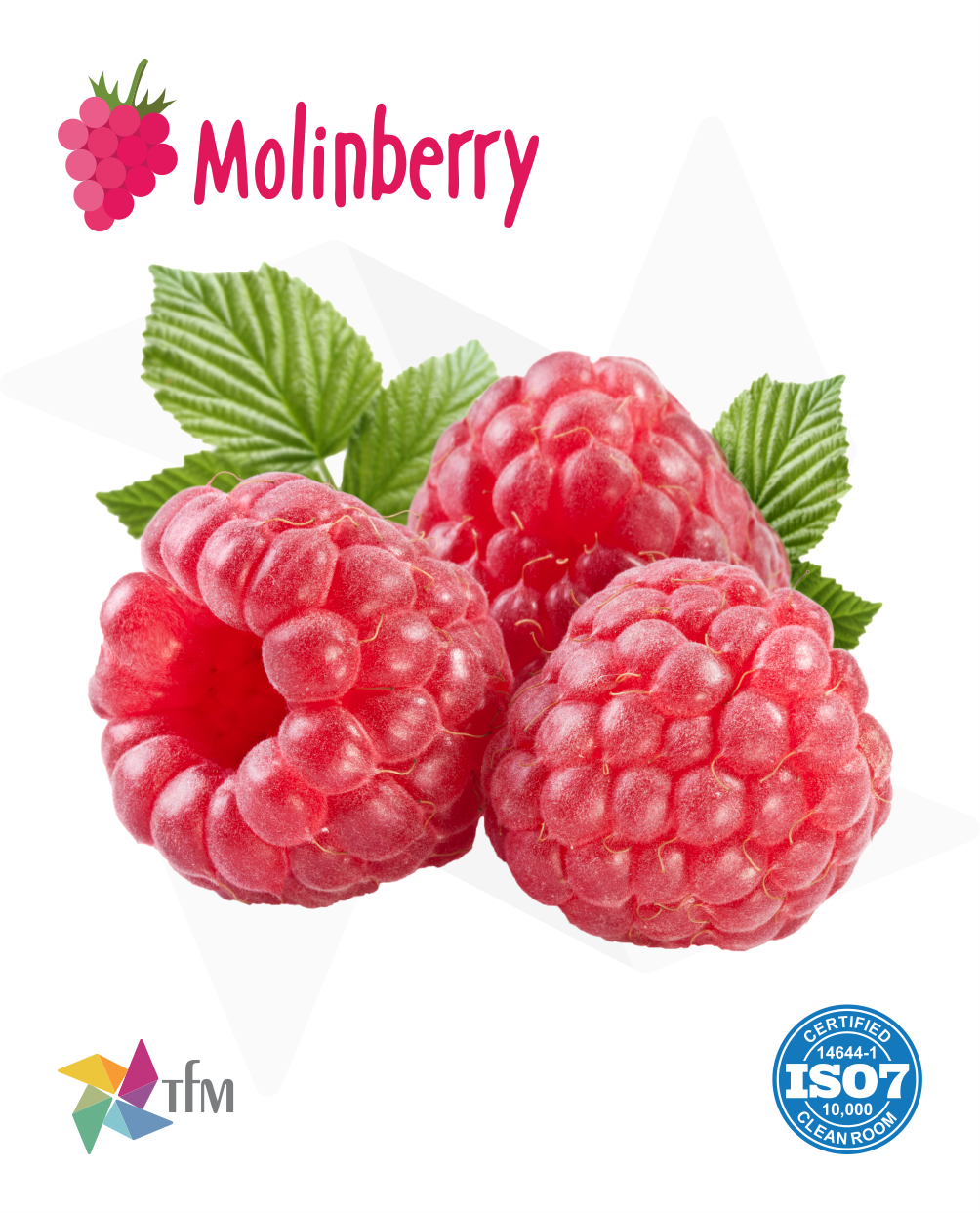 Pink Raspberry Women's Cloud 6 Raspberry/White – Tradehome Shoes
